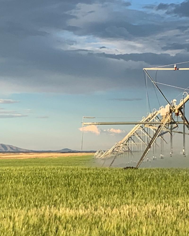 Bio-Nutritional Products for All Growers | AgVent